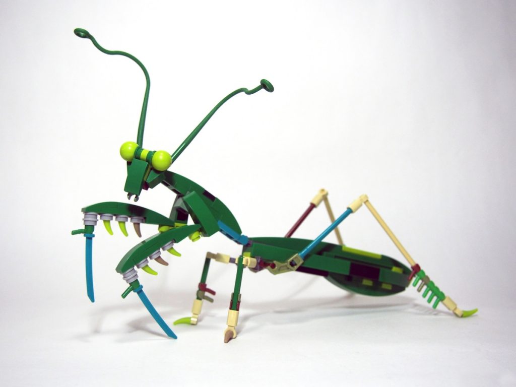 Uitgelicht: LEGO Ideas Insects Project - Bouwsteentjes.info