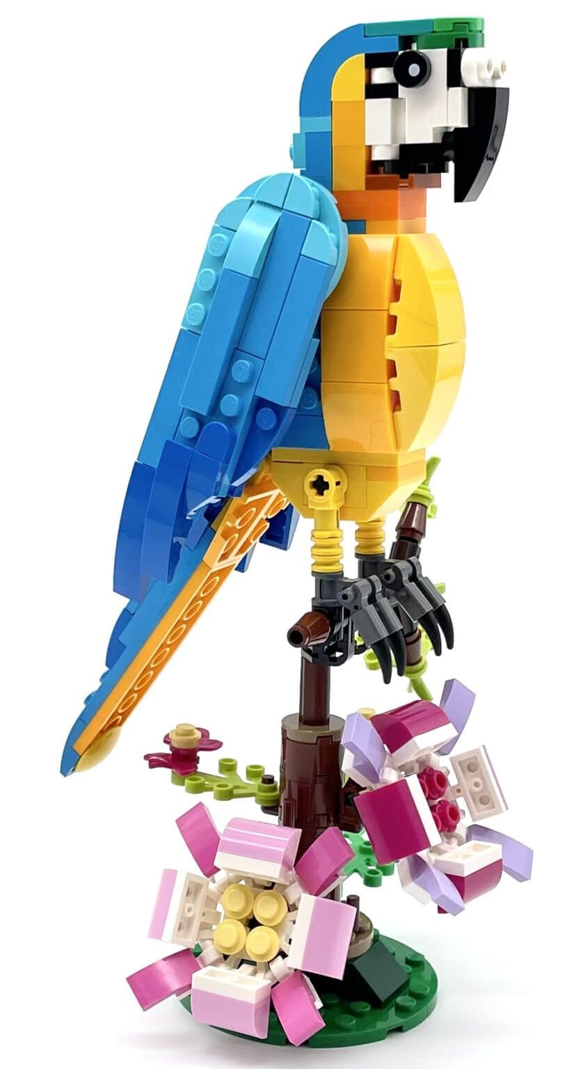 [Review] LEGO Creator 31136 Exotic Parrot - een exotische ervaring?