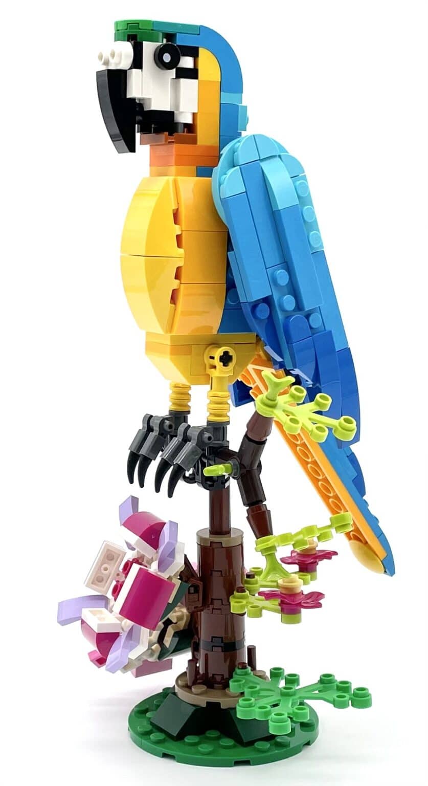 [Review] LEGO Creator 31136 Exotic Parrot - een exotische ervaring?