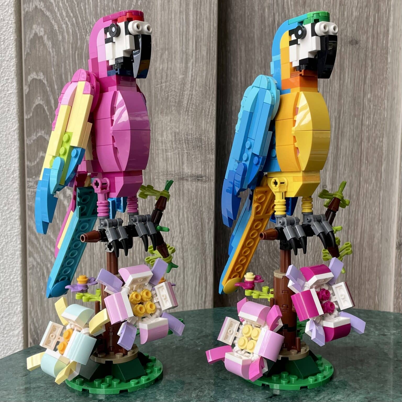 [Review] LEGO Creator 31144 Exotic Pink Parrot - Kan deze nieuwe versie ...