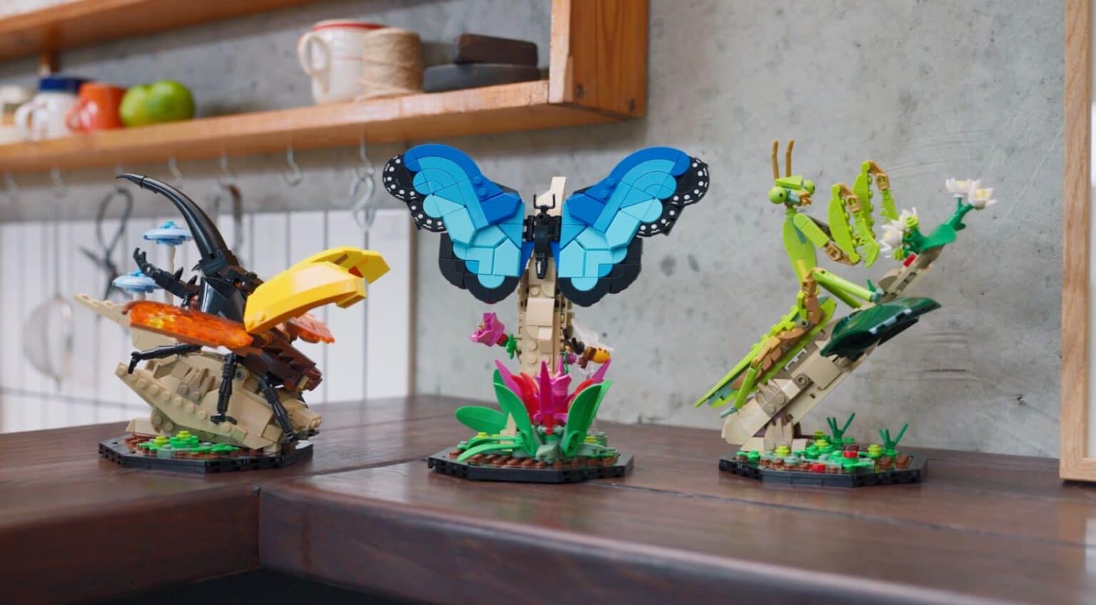 Ontdek vanaf vandaag de wondere wereld van insecten met de LEGO Ideas ...