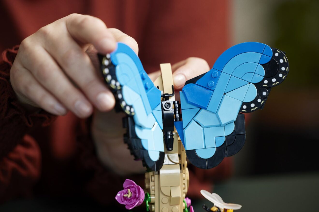 Ontdek vanaf vandaag de wondere wereld van insecten met de LEGO Ideas ...